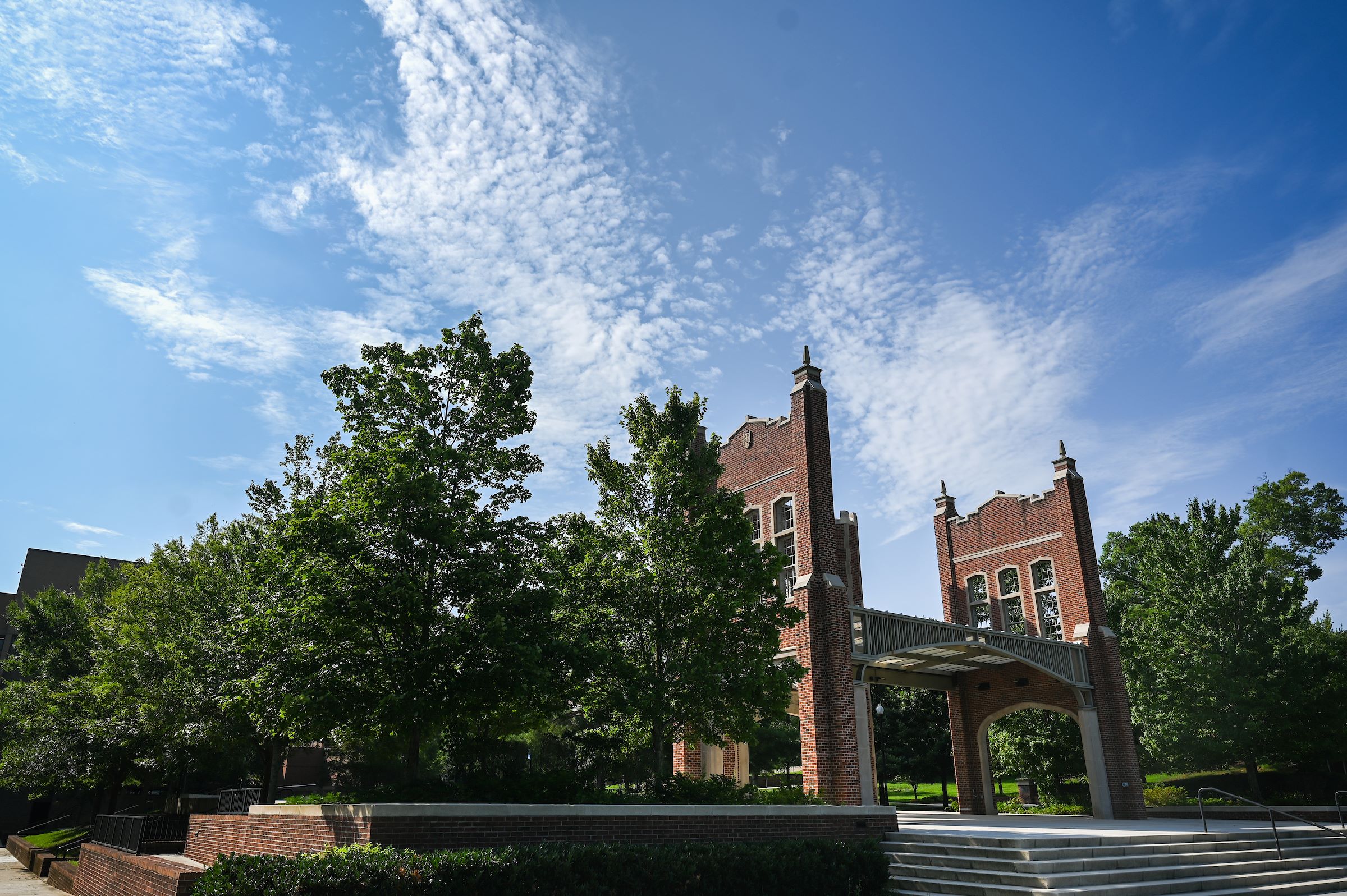 Notice of Final Defense - Menekse Adar to Present Master's Research ...